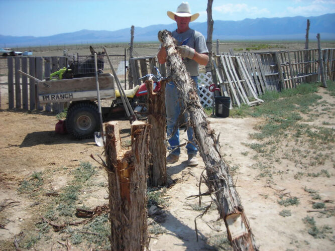 Easy DIY: How to Build a Hitching Post - Grit